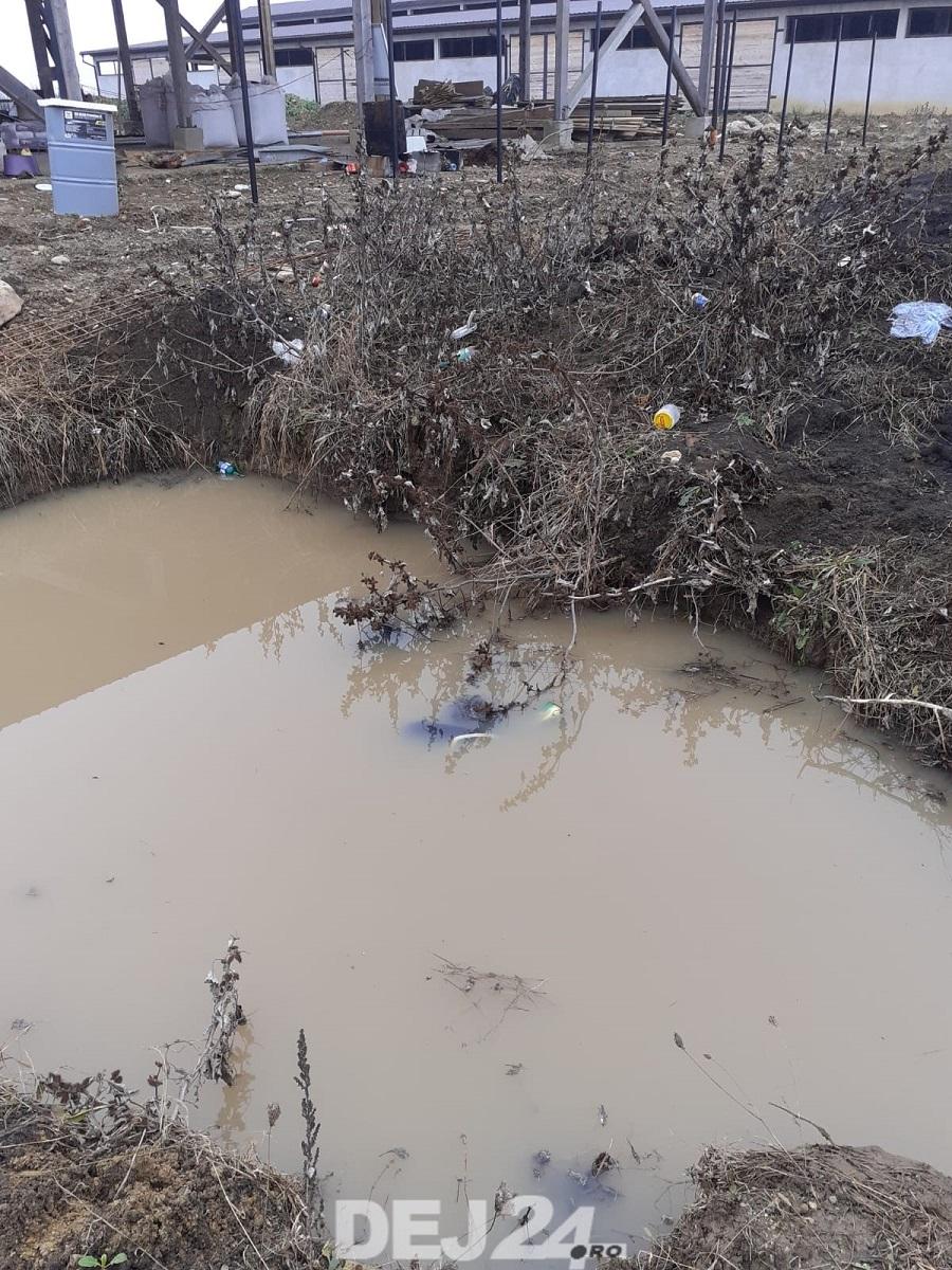 Bărbat înecat într O Baltă La Țaga Foto Dej24ro